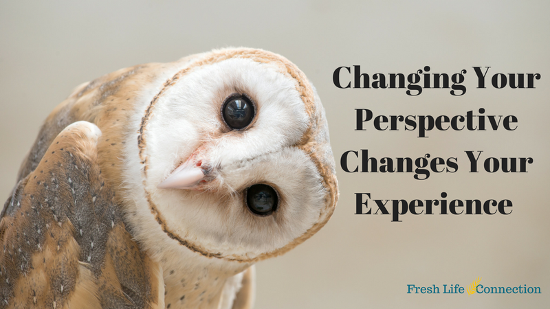 THE MAGIC OF A CHANGED PERSPECTIVE! | Lady Dyanna ~ Spiritual Life ...